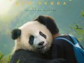 Moon Mi Amigo Panda - Película 2025 - Cine.com